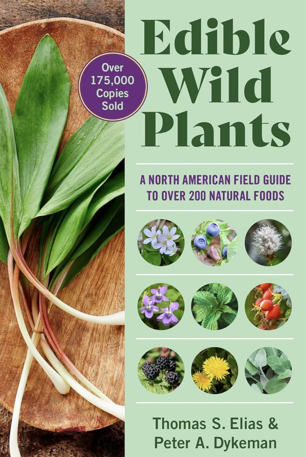 Survival Food in the Wild: What to Eat & What to Avoid - Survive Essentials